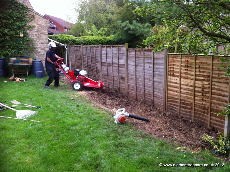 Element Tree Care Gallery Tree Doctor Pictures At Work