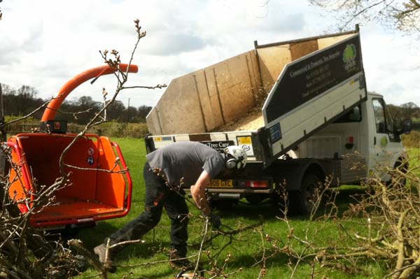 Leamington Spa Tree Surgeons Leamington Tree Surgery Element Tree Care